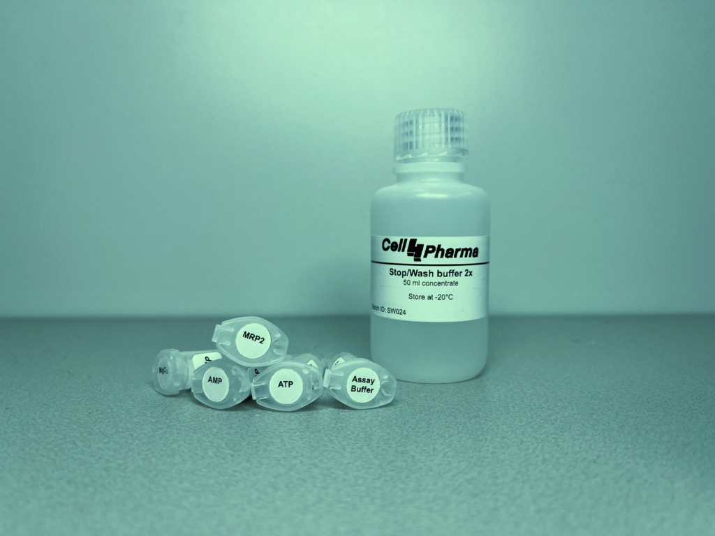 Human MRP2 vesicle kit (HEK293 derived) - Cell4Pharma